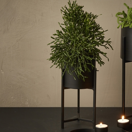 Urtepotter - blomsterskjuler - hængende krukker blomster